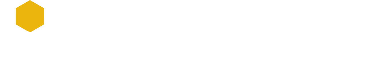 Beesweb – Sistema para provedores